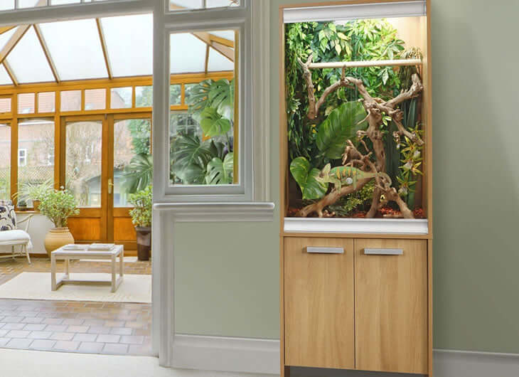 Vivexotic Arboreal Vivariums: Homes for Tree-Dwelling Reptiles ...