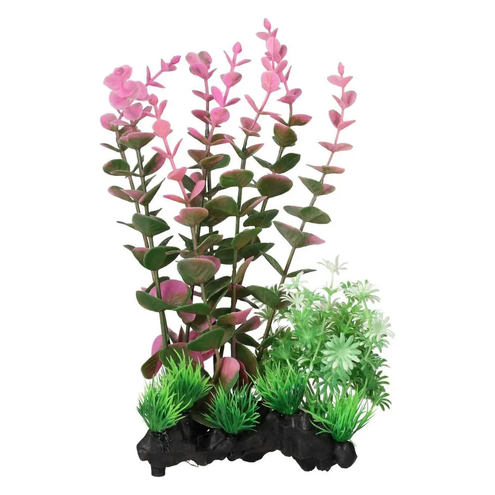 Buy AquaSpectra Pink Indian Toothcup Online at £8.39
