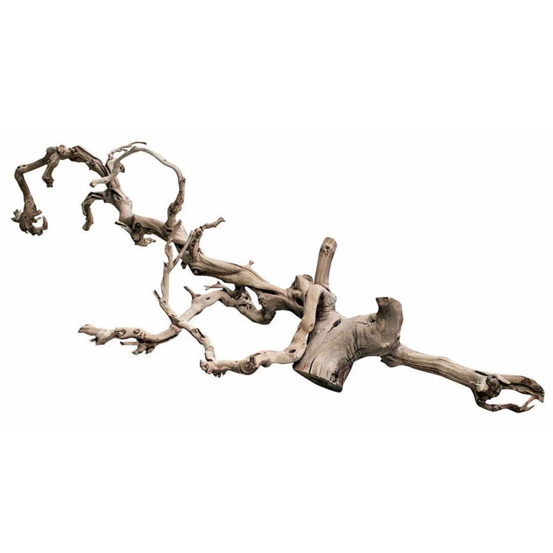 Buy Lucky Reptile Sand-blasted Grapevine Online at £16.99