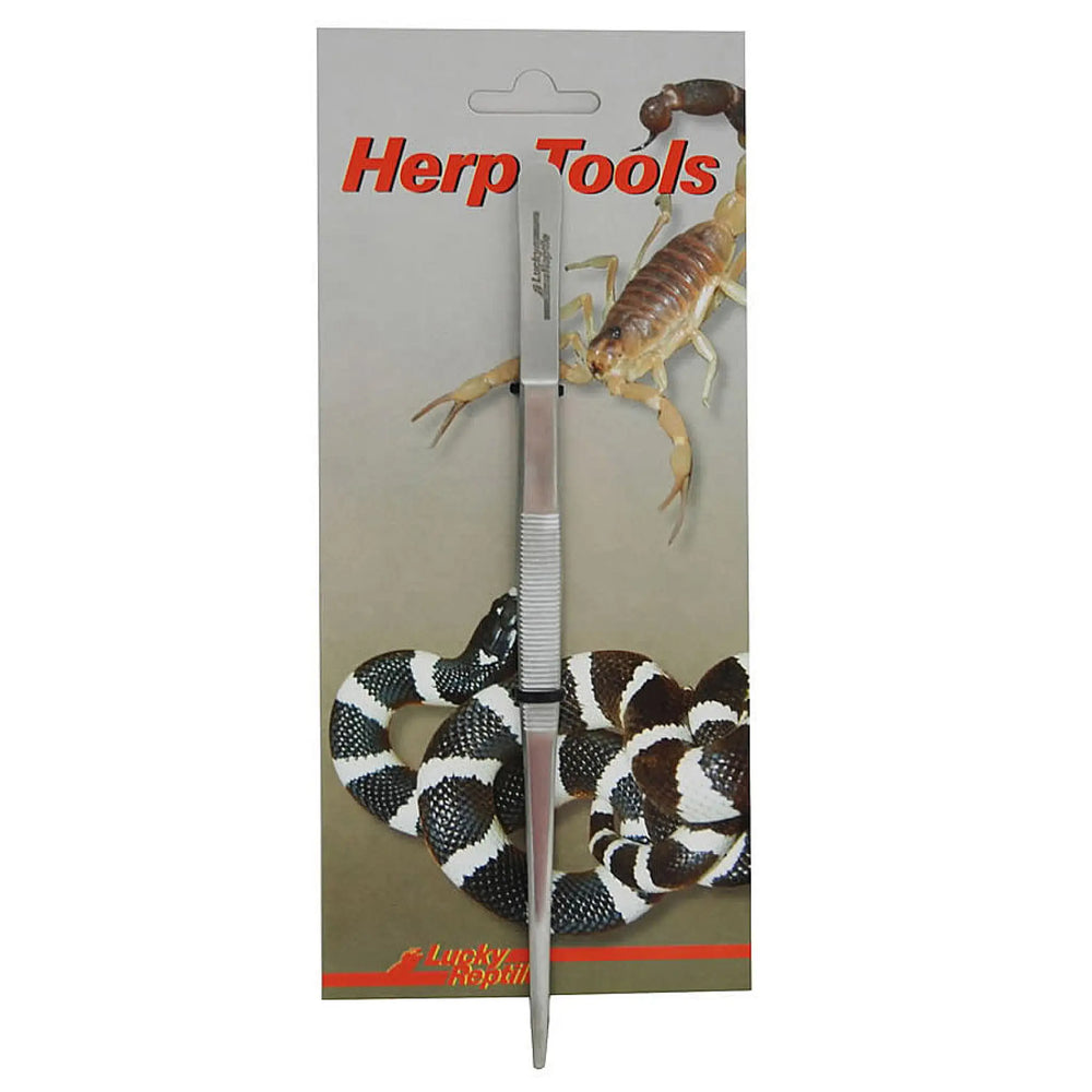 Buy Lucky Reptile Online | Reptile Centre
