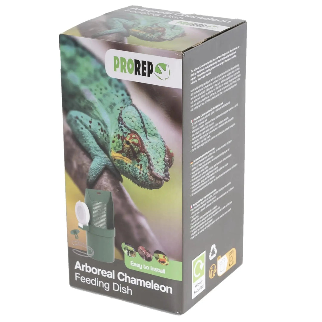 Buy ProRep Arboreal Chameleon Feeding Dish Online at £21.99