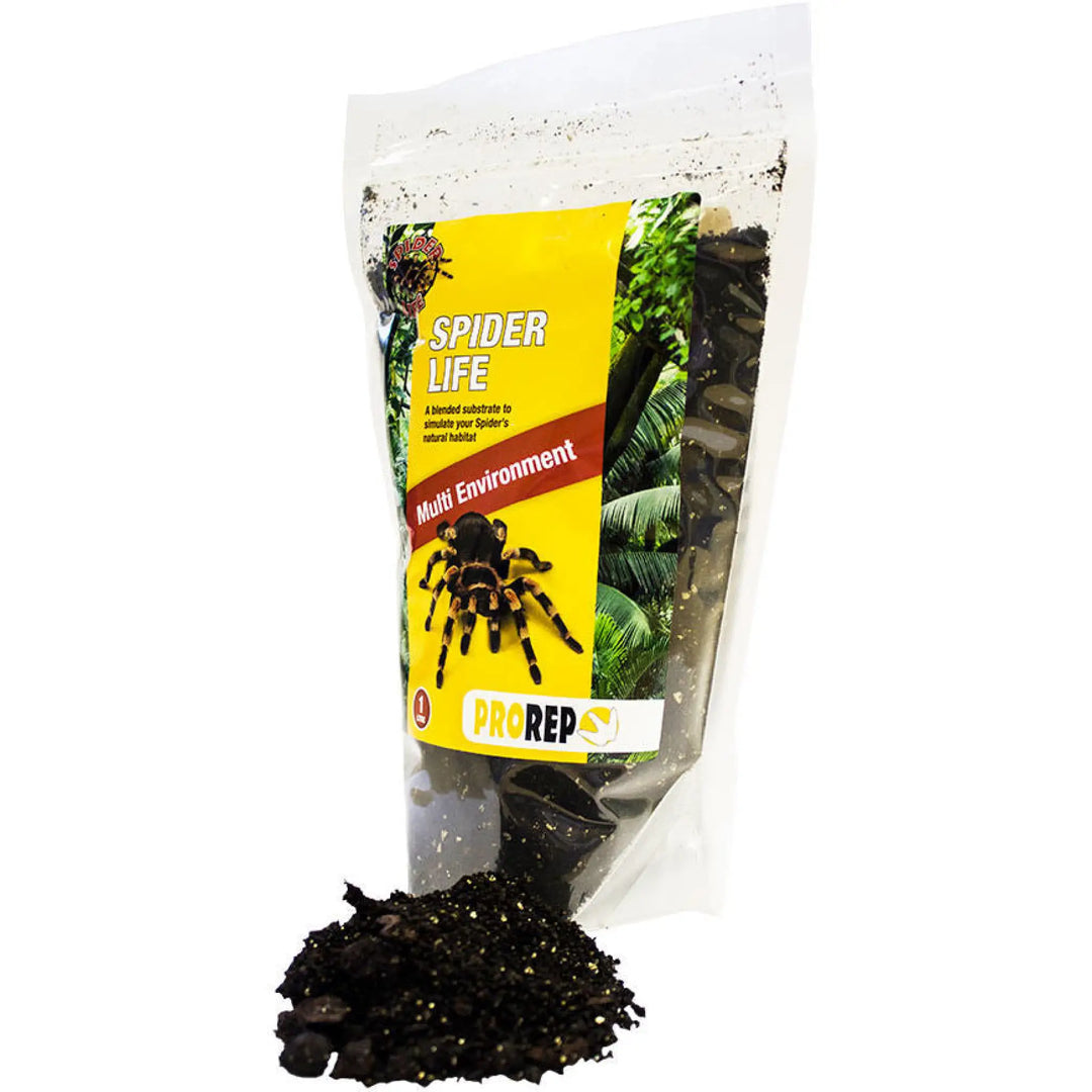 Buy ProRep Spider Life Substrate Online at £2.94