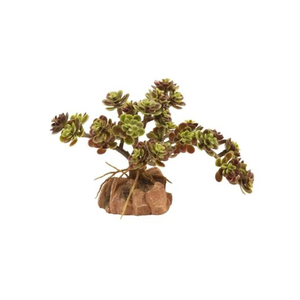 Buy Artificial Desert Plants Online | Reptile Centre