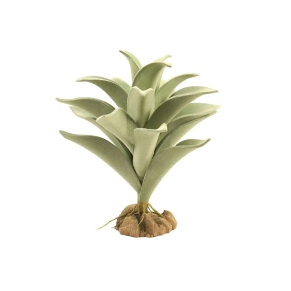 Buy Artificial Desert Plants Online | Reptile Centre